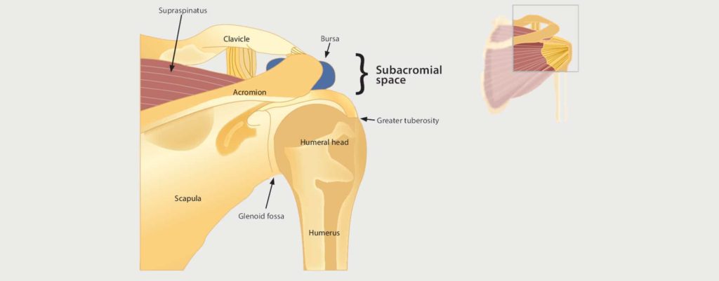 Shoulder Impingement Motus Physical Therapy